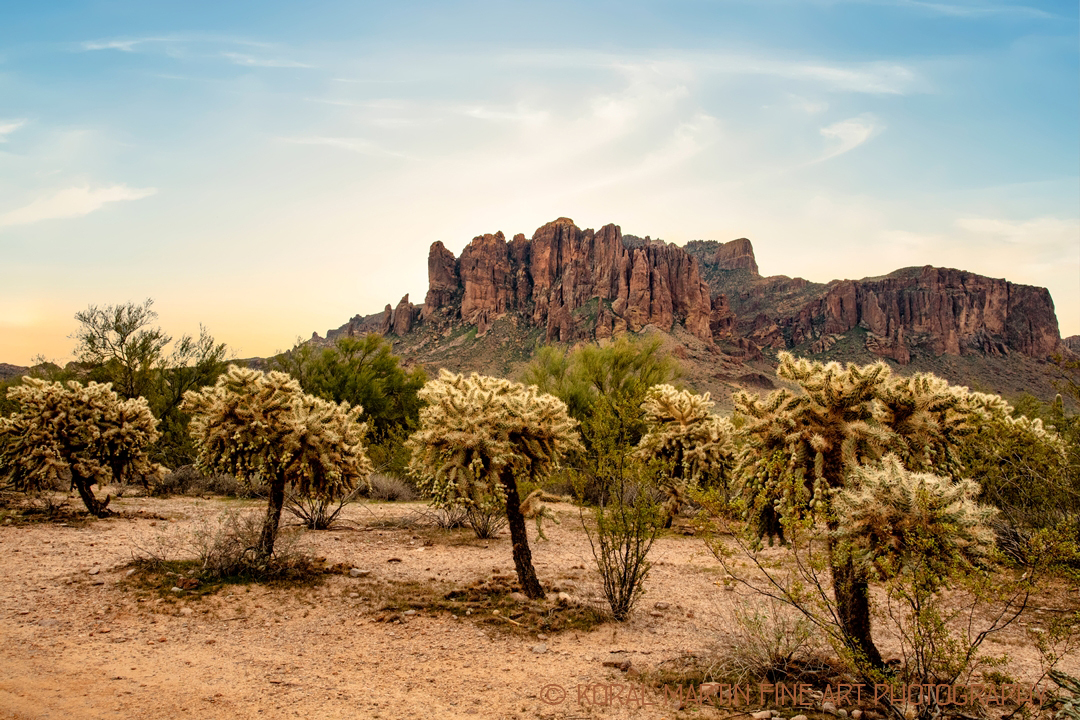 Apache Trail Joshua Tree 1887 – Nature Artwork for Healthcare