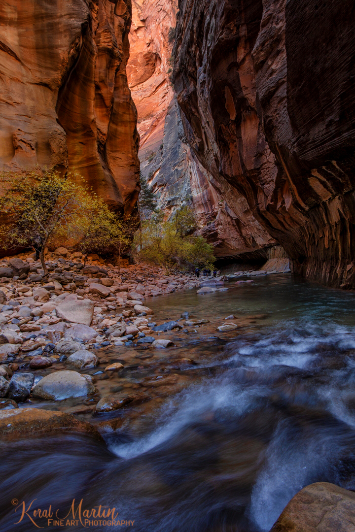 Zion Narrows Fall Flow – Nature Artwork for Healthcare