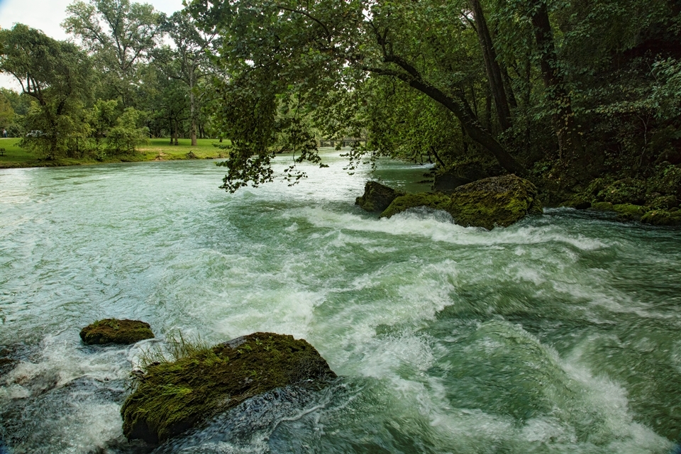 Big Springs State Park – Nature Artwork for Healthcare